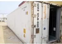 China 20RH Refrigerated Storage Reefer Container House for sale