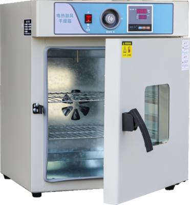 China Electrothermal Blast Drying Oven with 300°C Temperature Range Forced-Air Circulation and Precise Temperature Control for sale