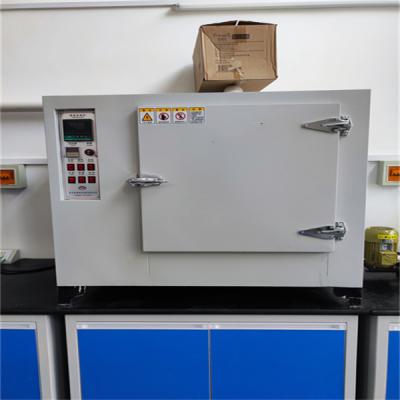 China High Temperature Blast Drying Oven Electric Industrial for sale