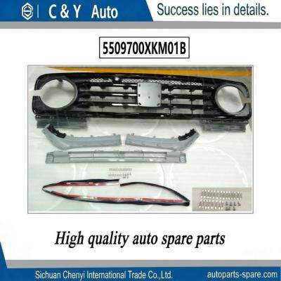 China Radiator Grille Assembly OEM 5509700XKM01B For Tank 300 GWM Front Center Mesh Trim for sale