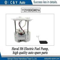 China Great Wall Fuel Pump With Level Sensor OE 1123100XGW01A Great Wall Car Parts for sale