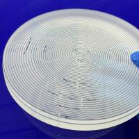 China Factory Custom High Precision Slotted Quartz Sheet Drilling Fused Quartz Transparent Polished for sale