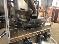 China TIANHE 24 Sations D Tooling 100KN Pressure Powder Press Machine Effervescent for sale