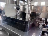 China TIANHE Dishwashing Cleaning Tablet Big Effervescent Powder Press Machine 200KN for sale