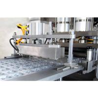 China TIANHE Tablet / Capsule Aluminum PVC / Alumium Alumium Blister Packing Machine for sale
