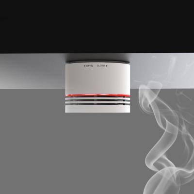 China FCC ROHS Tuya WiFi Smoke Detector 2.4GHz Wifi Connected Smoke Alarms for sale