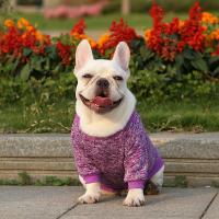 China Upgrade Your Pet's Winter Wardrobe with Fashion Designer's French Bulldog Clothes for sale