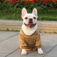 China Comfortable Sustainable Pet Dog Cat T-Shirts Apparel Accessory Type Sweaters Sweatshirts for sale