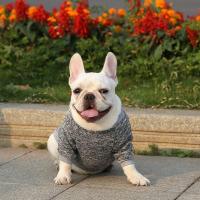 China XS-XXL Different Colors Accessories Modern Dog Clothes for XS-XXL Dogs for sale