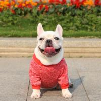 China Design Autumn Winter Pet Clothes Thick Warm Dog Coat for Big Dogs and Puppies Cute Style for sale