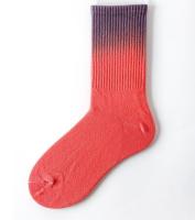China Beautiful Gradient Cotton Sports Socks for Women and Men in Regular Style Summer for sale