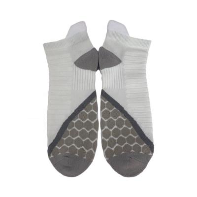 China 12% Combed Cotton 85% Polyamide Regular Style Antislip Sports Socks for Men and Women for sale