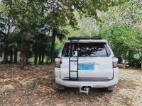 China Toyota 4 Runner Black Iron Steel SUV Rear Ladder for sale