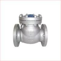 China Class 150LB RF CF8M Flange Check Valve Flanged End Stainless Steel Check Valve for sale