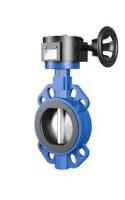 China Stainless Steel Wafer Butterfly Valve Fluorine Rubber Ring Manual Handle Butterfly Valve for sale