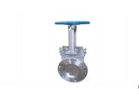 China Flange Type 14 Inch Gate Valve DN350 PN 10 14