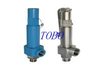 China DIN ARI 900 Spring Loaded Pressure Safety Valve GA901 PN40 Gas Safety Valve for sale