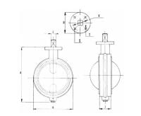 China AISI 316 150LB Wafer Butterfly Valve DN100 SS304 PN 10-16 for sale