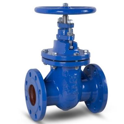 China DN100 PN 10 And 16 Metal Seated Gate Valves Oval Body Cast Iron Inside Screw for sale