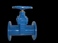 China PN16 DN65 Ductile Iron Fitting Gate Valve Water Supply BS Flanged for sale