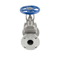 China ASME B16.10 Stainless Steel Gate Valve CF8M API Trim 12 Cl150 RF Flanged Gate Valve for sale