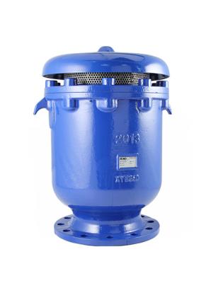 China AISI SS316 Air Relief Valve 6000PSI Vacuum Air Relief Valves Flanged End for sale