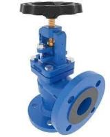 China EN Standard Flanged Connection Globe Valve Dn80 Cast Iron Pn16 for sale