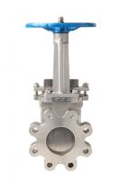 China Stainless Steel Bonnet Bolts Lightweight Resilient Seated Gate Valve for sale