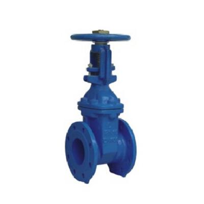 China Valve Price List MSS SP-70 Class 125 NRS Cast Iron Gate Valve for sale
