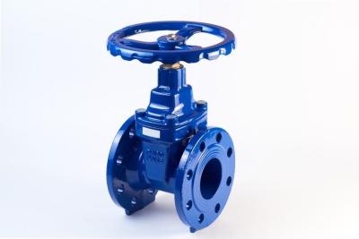 China DN80 PN25 Cast Iron Flanged Gate Valve DIN Resilient Bolted Steam for sale