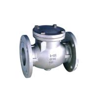 China Vertical Horizontal Water Full Opening Swing Type Wcb Casting Flanged Non Return Check Valve for sale
