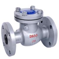 China Vertical Horizontal Water Full Opening Swing Type Wcb Casting Flanged Non Return Check Valve for sale