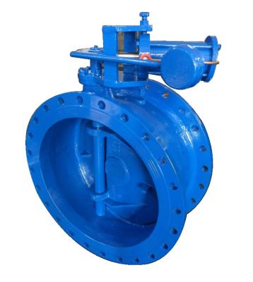 China Stainless Steel 316L Swing Type Check Valve DN20 Class 150 RF RTJ BW Connection for sale