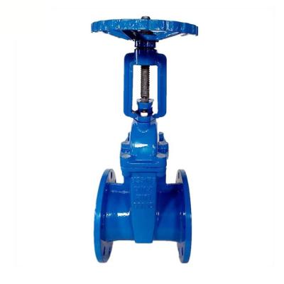 China Resilient Seated Gate Valve 175PSI Cast Iron Plug Valve Lifting Type Quarter Turn Rotational Motion Flanged Ends for sale