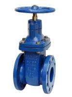 China Asme B16.1 Cl 125 Gate Valve Bs5163 Cast Iron Pn16 Rising Stem Soft Seal Steel Gate Valve for sale