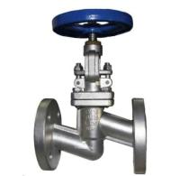 China A351 Cf8 Flange Thread End Globe Valve 600psi Stainless Steel Globe Valve for sale