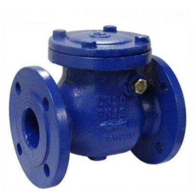China 12 Inch Vertical Ball Check Valve With Epoxy Powder Coating DN15 - DN300 for sale