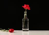 China Hot Selling Juice Liquor Wine Fruit Wine Whiskey Clear Vodka Glass Bottles for Alcoholic Beverages 700ml for sale