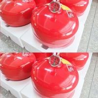 China FM200 Automatic Fire Extinguishing System In Fire Extinguisher Ball for sale