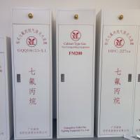 China 100L FM200 Gas Suppression System for treasure trove and archive for sale