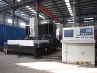 China Gantry Type CNC Plate Drilling Machine For Steel Structure Model PZ2016 for sale