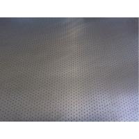 China Filtration Drilling Perforated Metal Stainless Steel Screen Sheets/Plates 304 316 316L for sale