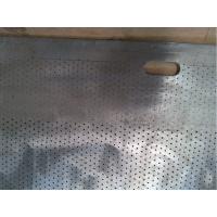 China Filtration Drilling Perforated Metal Stainless Steel Screen Sheets/Plates 304 316 316L for sale