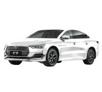 China BYD E9 Pure Electric Business Vehicle - 506 km Range with Advanced Battery Safety & IP68 Protection for sale