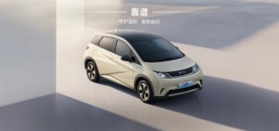 China BYD 2025 Dolphin Knight Edition Electric Vehicle with 520km Range and Advanced Safety Features for sale
