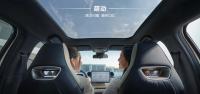 China BYD 2025 Dolphin Knight Edition Electric Vehicle with 520km Range and Advanced Safety Features for sale