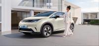 China BYD 2025 Dolphin Knight Edition Electric Vehicle with 520km Range and Advanced Safety Features for sale