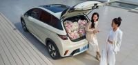 China BYD 2025 Dolphin Knight Edition Electric Vehicle with 520km Range and Advanced Safety Features for sale