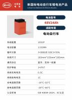 China BYD Lithium-ion Battery for Electric Bicycle Model 48V24Ah for sale