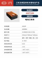 China BYD Lithium-ion Batteries For Three-wheel & Mini Four-wheel Vehicles 64V Series for sale
